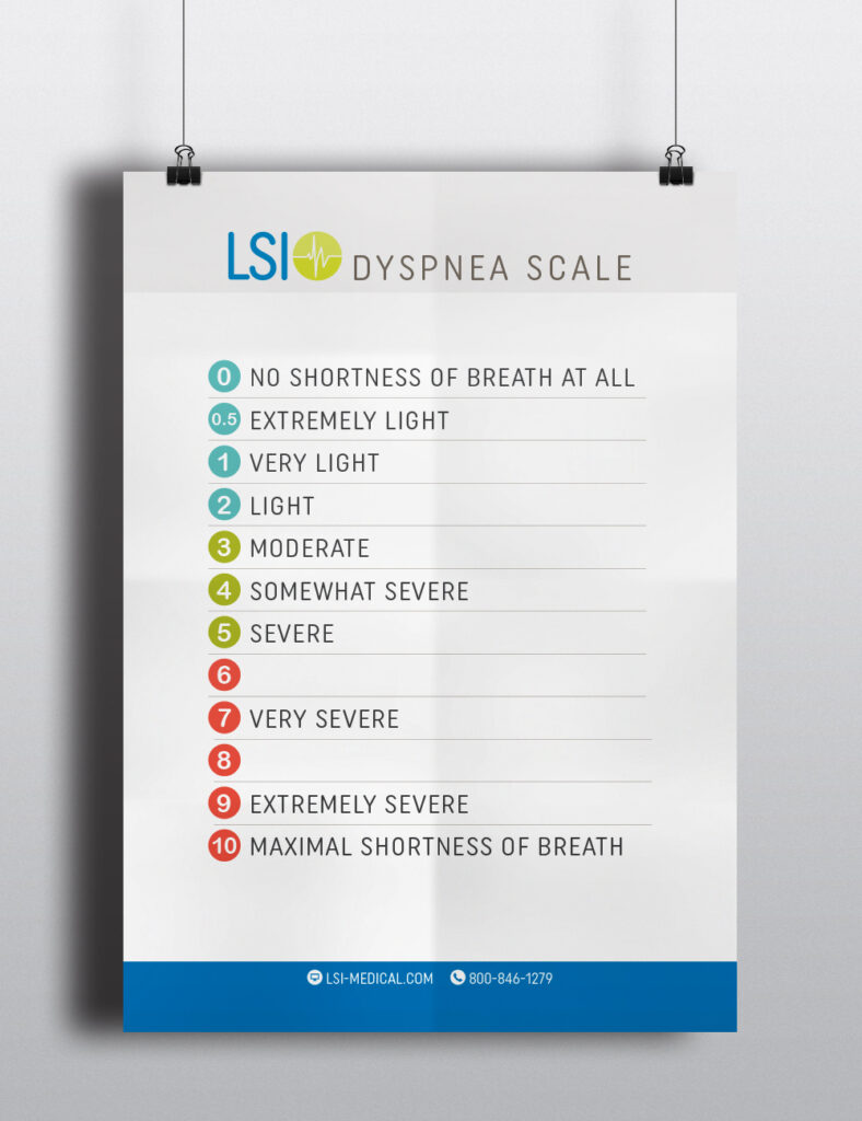 RPE Scale 6-20 | Life Systems International (LSI)
